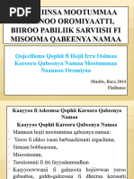 Qaboo Yaa'Ii Waldaa Waaqalii | PDF