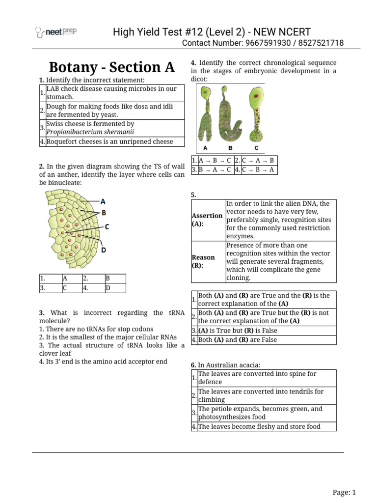 #12 (Level 2) - NEW NCERT | PDF | Leaf | Genetic Code