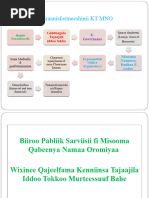 Qormaata Madaallii Hoggansaa | PDF