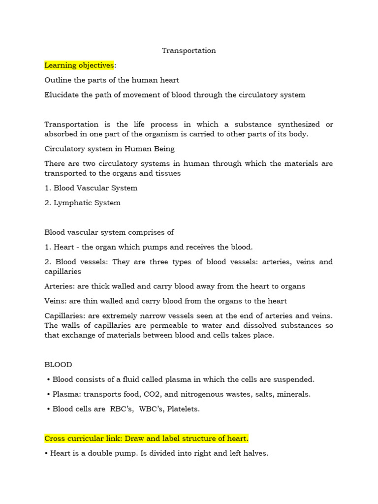 Bio Notes - Life Processes - Circulatory System - Grd10 | PDF | Heart ...