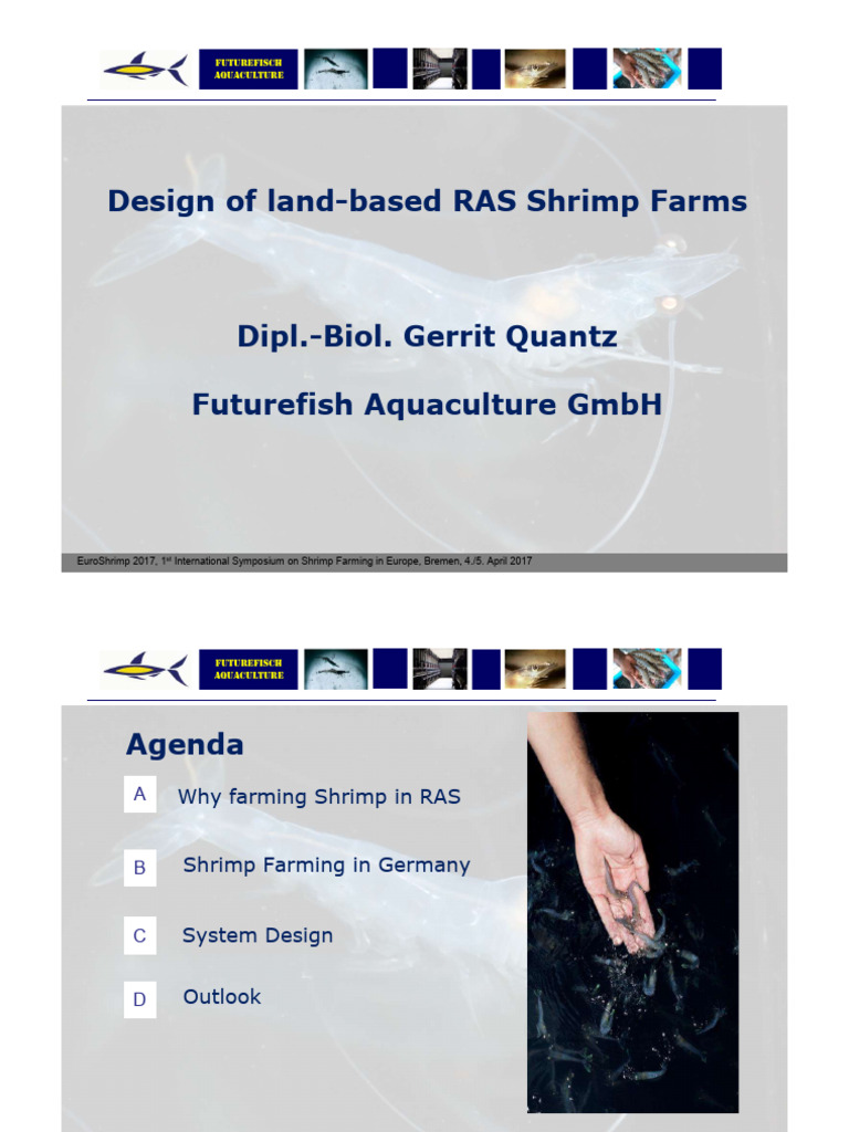 G Quantz Futurefish | PDF | Aquaculture | Shrimp