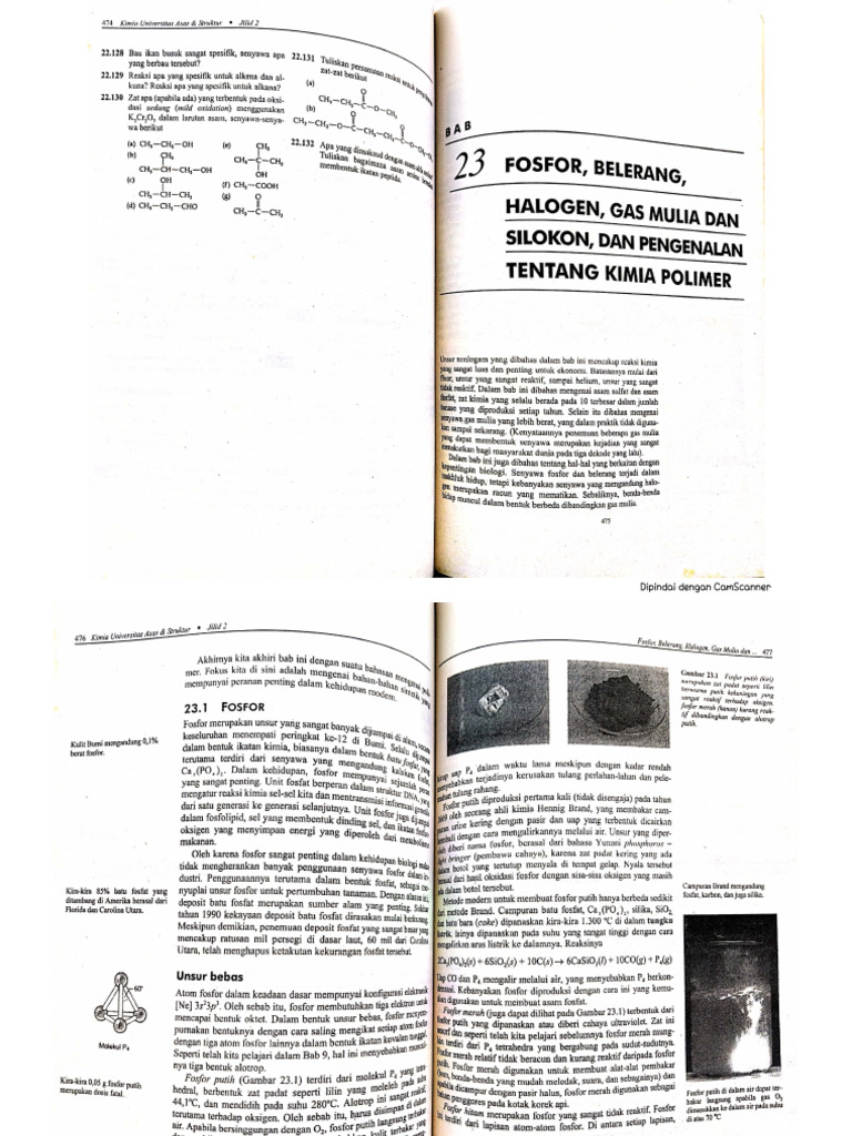 Fosfor, Belerang, Halogen, Gas Mulia, Kimia Polimer | PDF