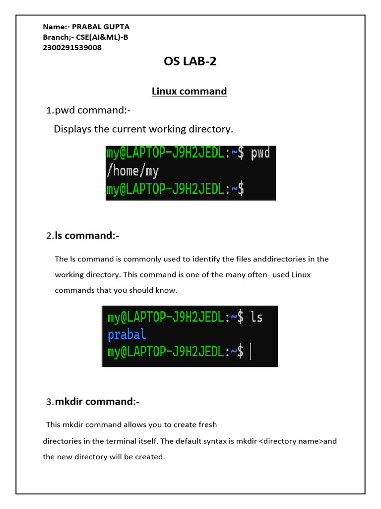 Os Lab 2 | PDF | Computers