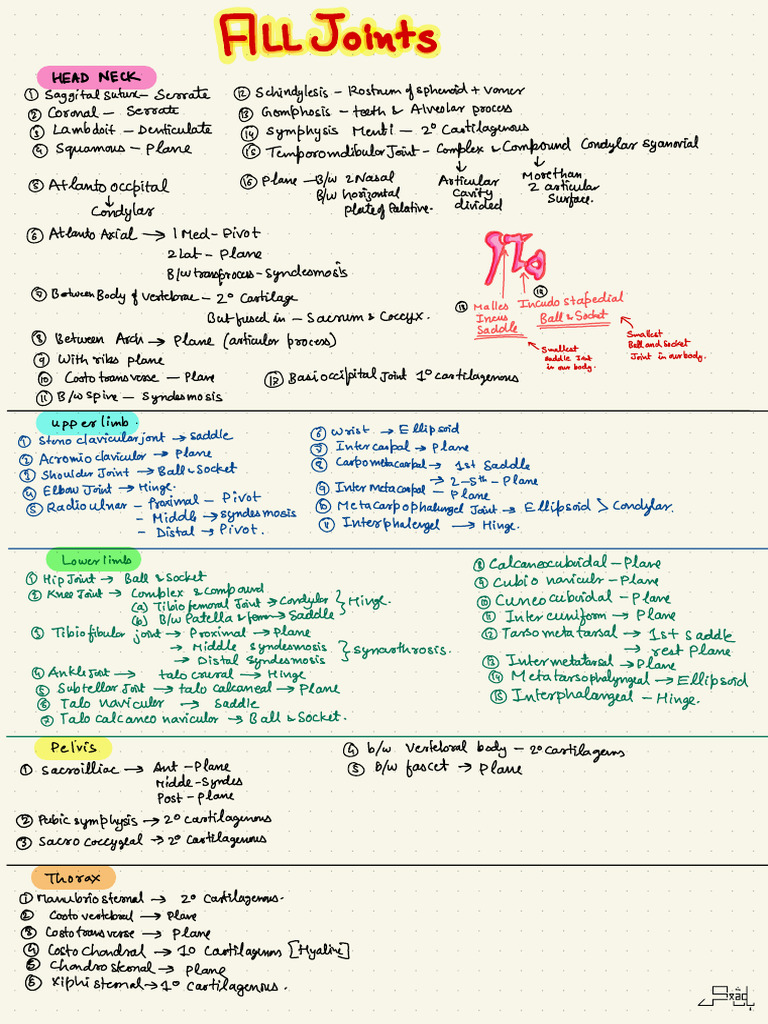 All Jointa | PDF | Cartilage | Vertebral Column