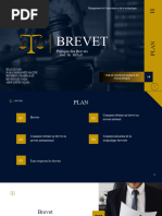 Présentation de L'INAPI | PDF | Brevet | Propriété intellectuelle