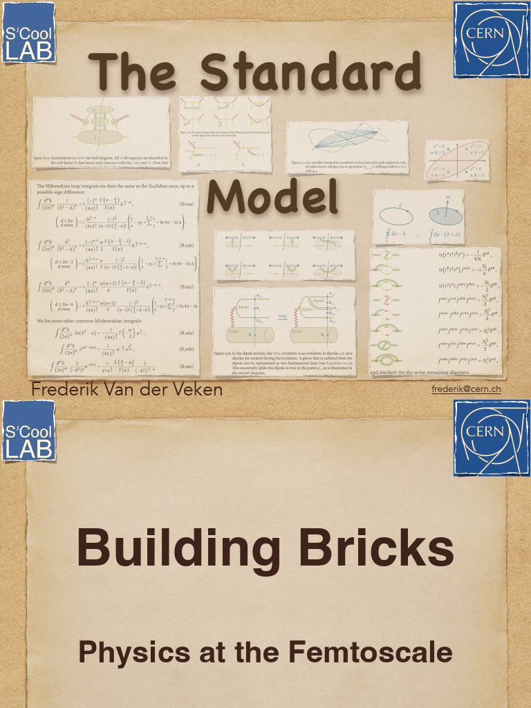 Standard Model | PDF | Elementary Particle | Fundamental Interaction