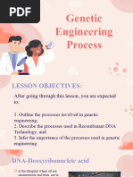 The Process of Genetic Engineering | PDF | Genetics | Genetic Engineering