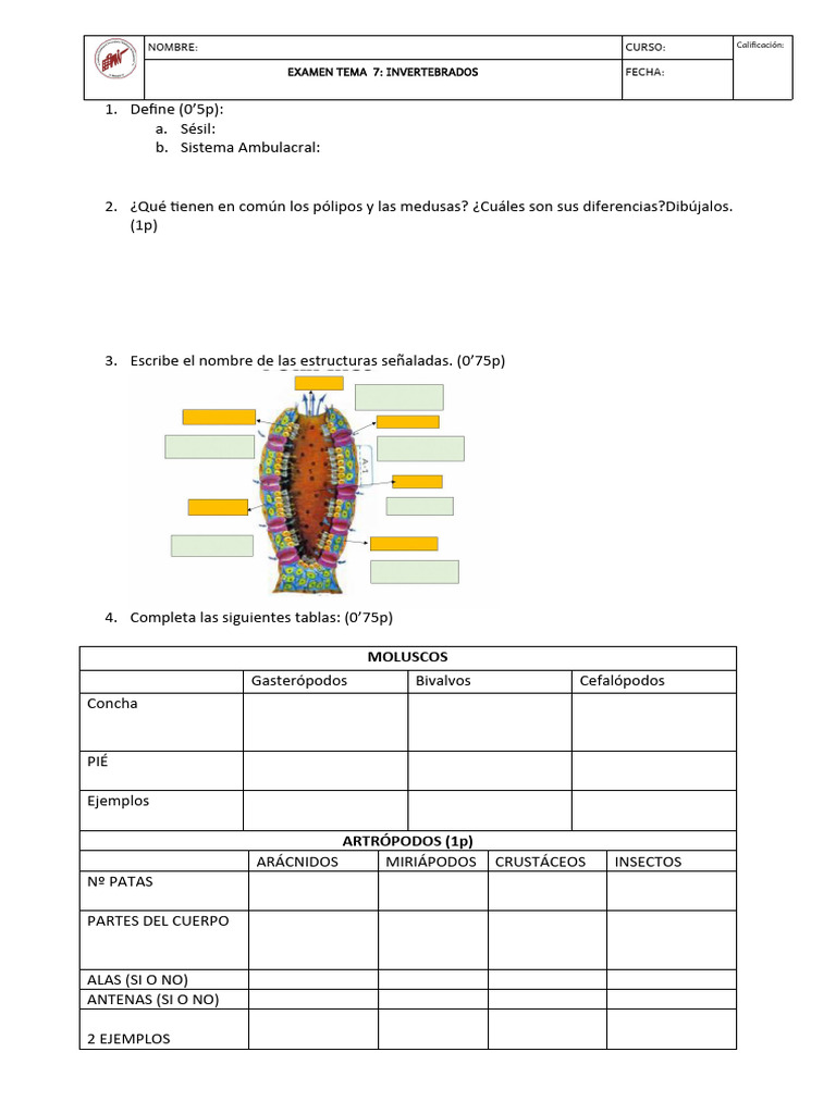 Examen Completo sobre Invertebrados | PDF | Moluscos | Invertebrado