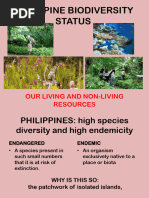 Endangered Species in the Philippines | PDF | Endangered Species ...