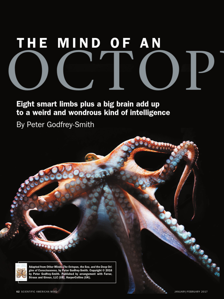 The Mind of an Octopus | PDF | Brain | Octopus