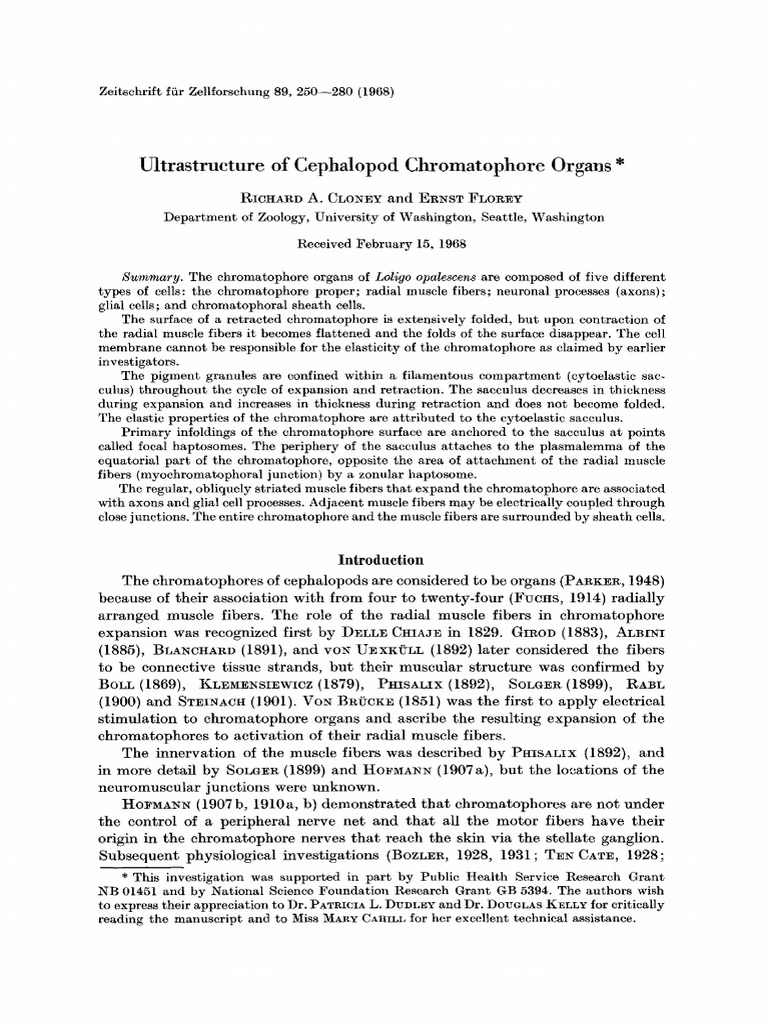 Ultrastructure of Cephalopod Chromatophore Organs | PDF | Axon | Skin