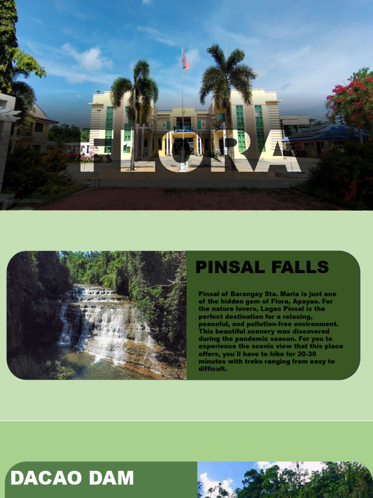 Presentation1 2 | PDF