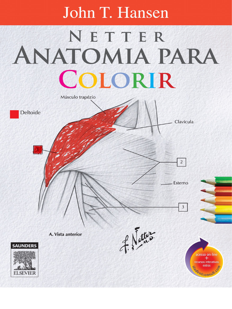 Anatomia para Colorir - Netter Imprimir | PDF
