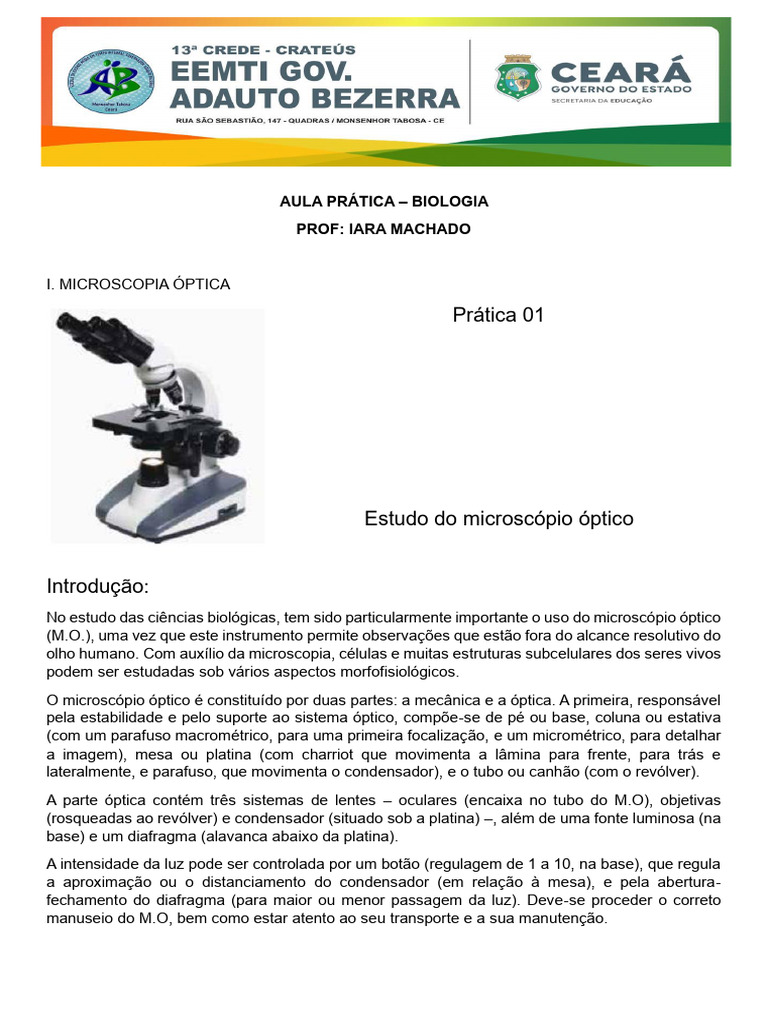 Aula Prática Iara Pdf