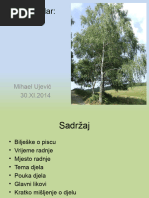 Analiza Duga Lektira | PDF