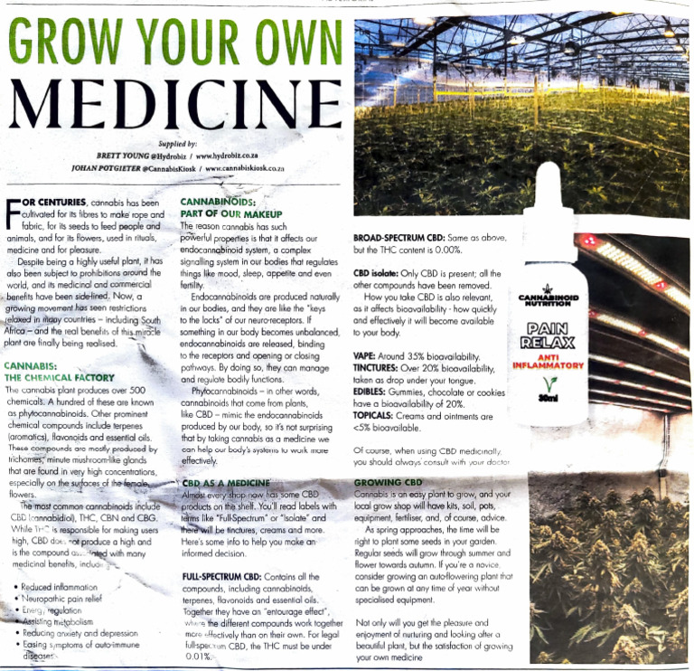 Adobe Scan 09 Jun 2023 (1) | PDF | Cannabis | Psychoactive Drugs