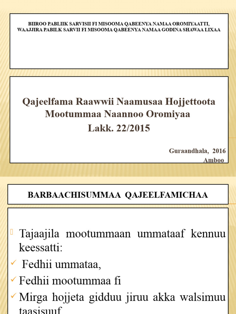 Qajeelfama Raawwii Naamusaa Hojjettoota Mootummaa Naannoo Oromiyaa | PDF