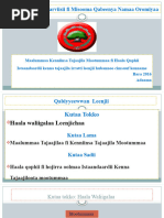 Dambii Lakk. 197-2010 (Dambii Milisha) | PDF