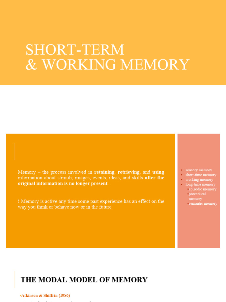 STM Working memory | PDF | Memory | Long Term Memory