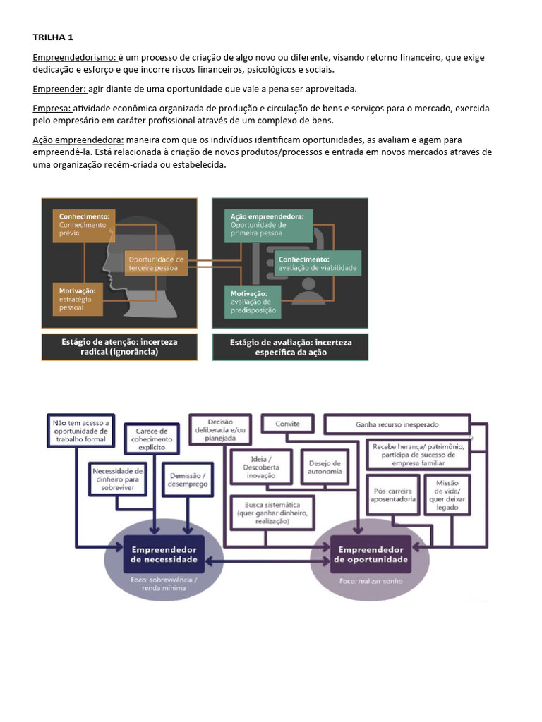 Resumo Empreendedorismo Pronto. | PDF | Empresa Startup | Microempresas e Empreendedores