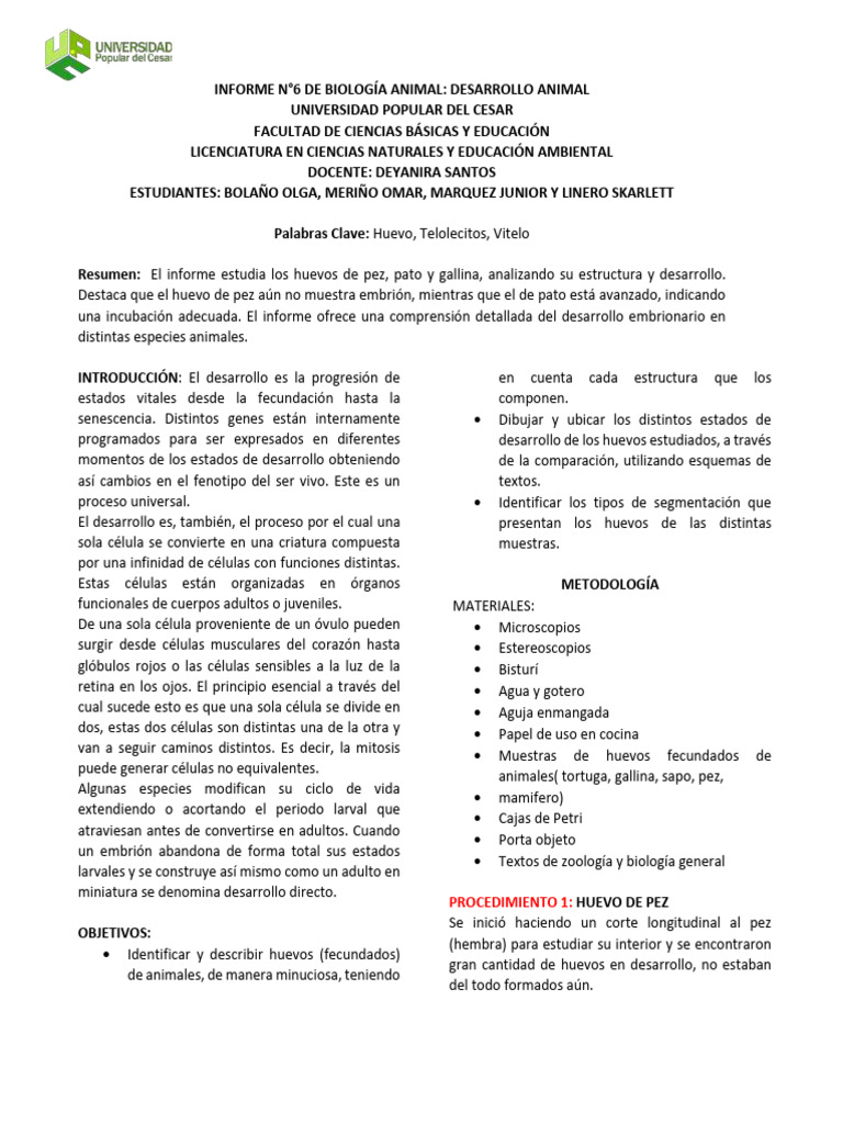 Informe 6 de Biología Animal | PDF | Huevo | Embrión