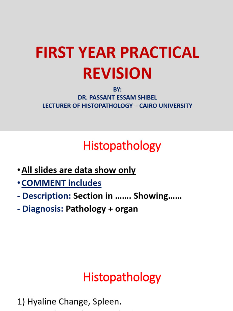 First Year Pathology Practical | PDF | Heart | Histopathology