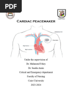 Pacemaker Block Diagram Explanation | PDF