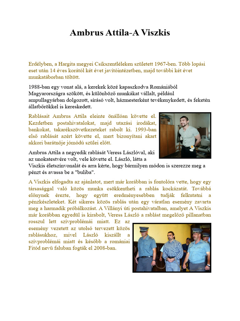 A Viszkis | PDF