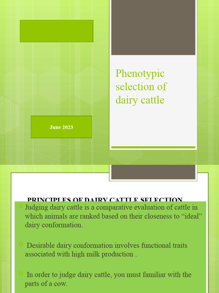 Phenotypic Selection of Dairy Cattle | Download Free PDF | Dairy Cattle ...