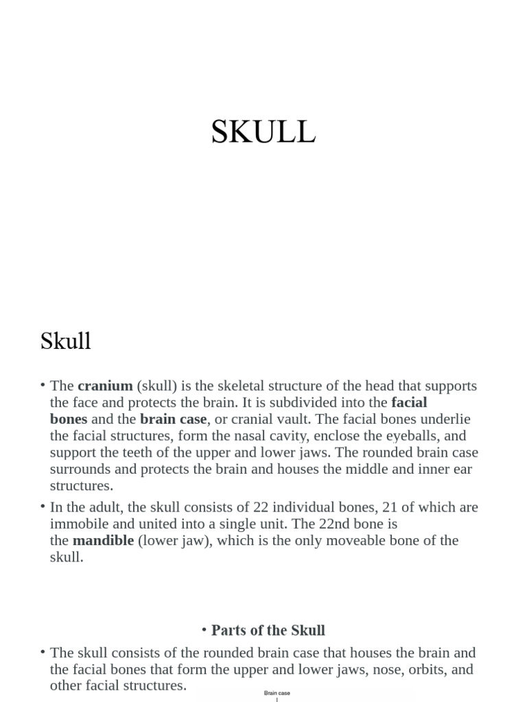 Skull | PDF | Skull | Human Nose