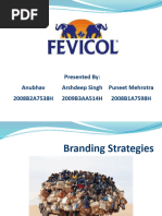 Pidilite Case Study | PDF | Brand | Adhesive