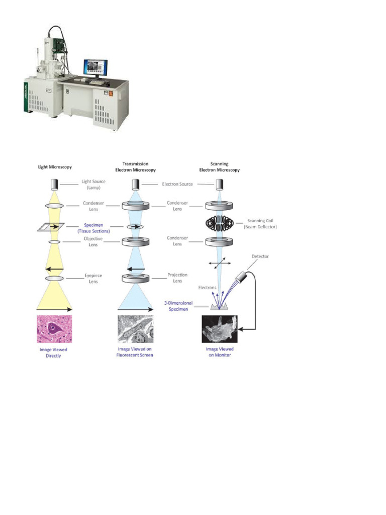 microscope dia | PDF