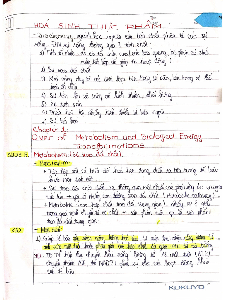 Hoá Sinh TP - C1 - Metabolism | PDF