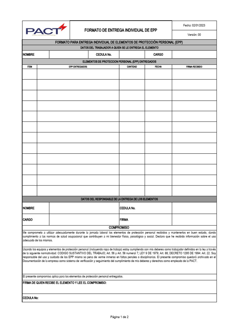 Formato de Entrega Individual de EPP | Descargar gratis PDF | Justicia | Crimen y violencia