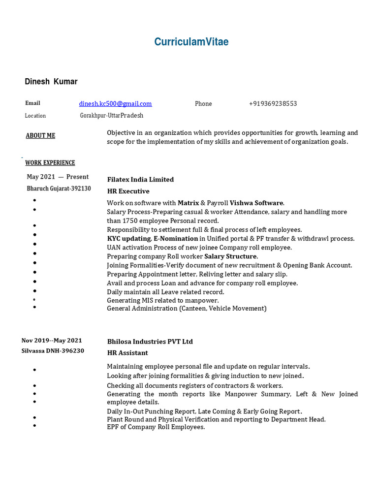 Cv@dinesh 23 | PDF | Human Resources | Business