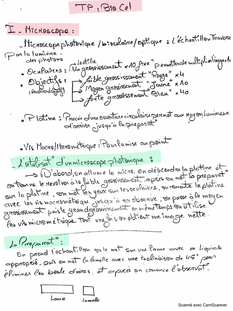 TP Bio Gnich Zineb 2 | PDF