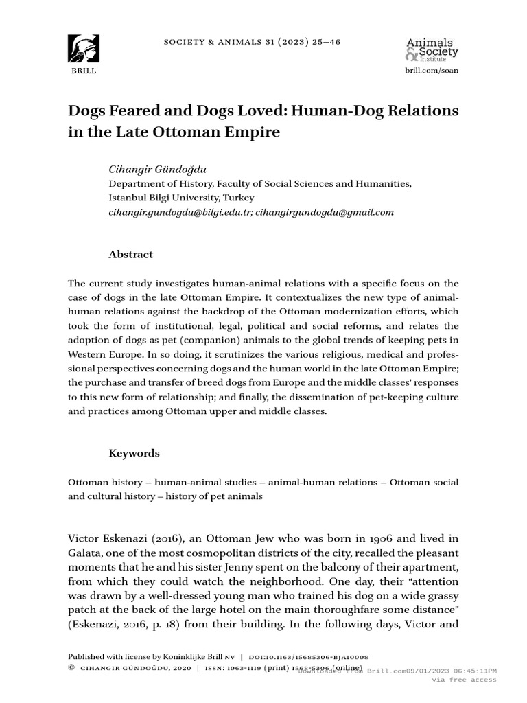 Dogs Feared and Dogs Loved Human Dog Rel | PDF | Dogs | Pet