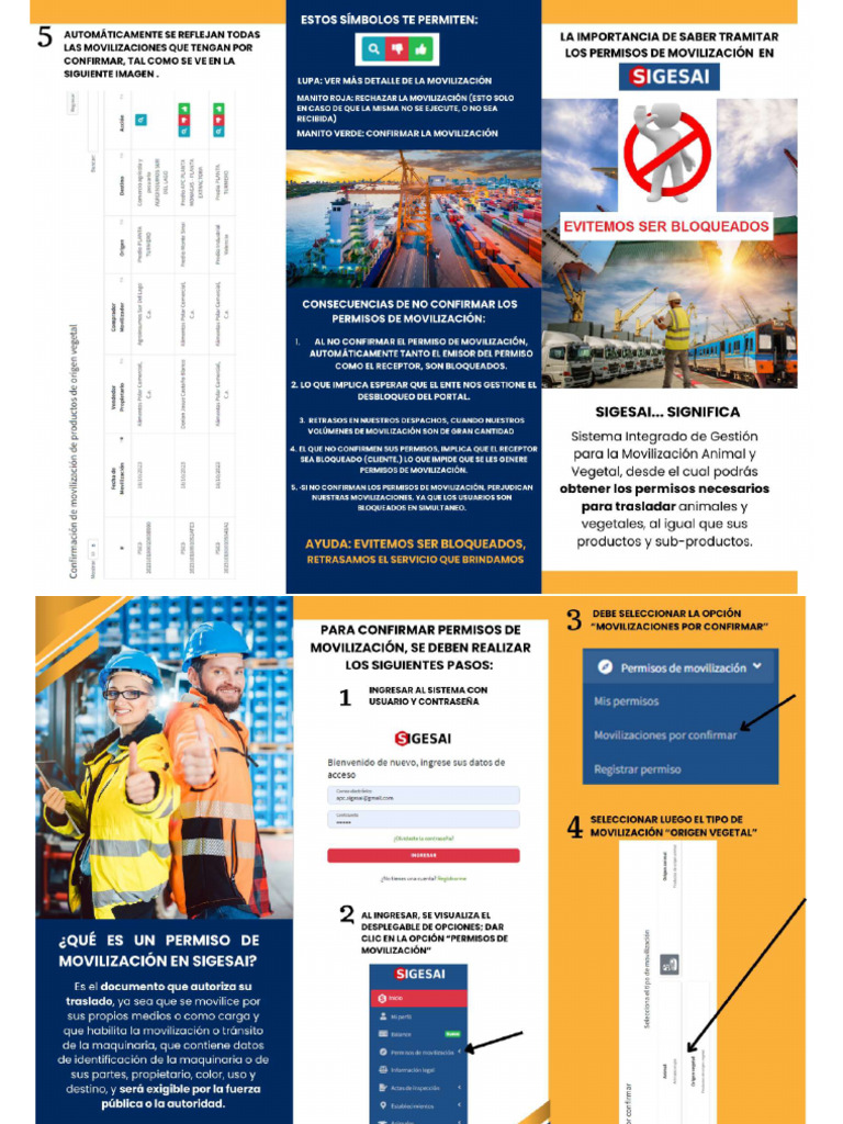 Triptico Informativo | PDF