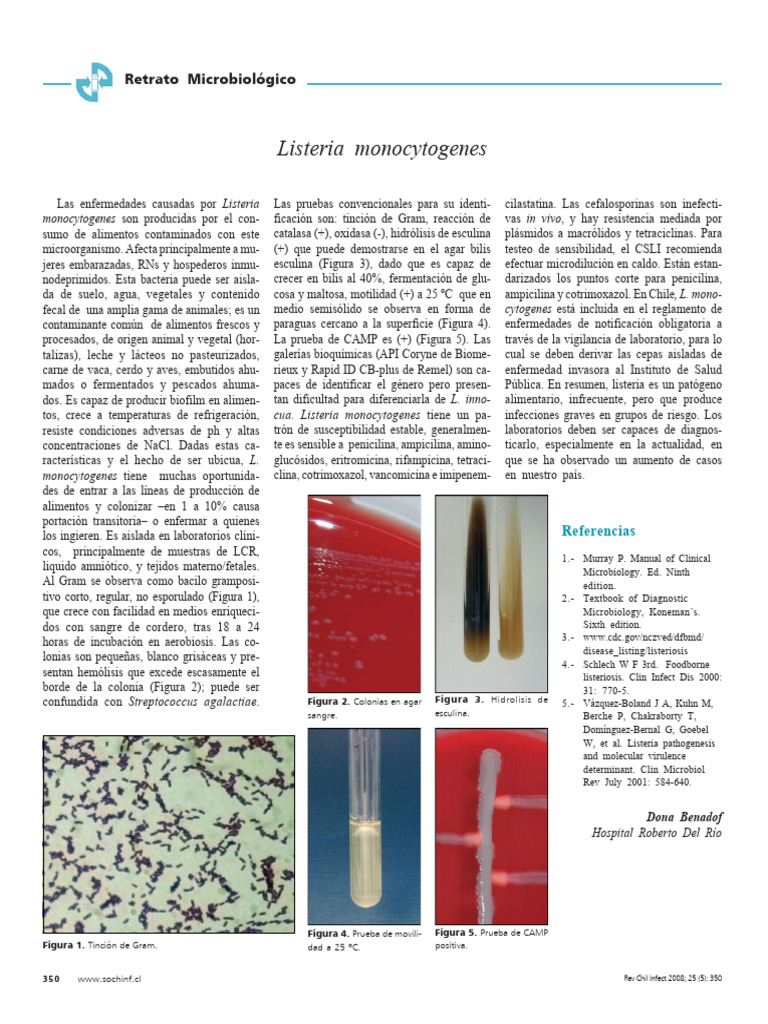 OK Identificación Listeria | PDF | Microbiología | Biología