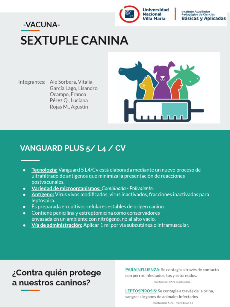 Vacuna Séxtuple para Perros: Contenido y Uso | PDF | Virus | Biología