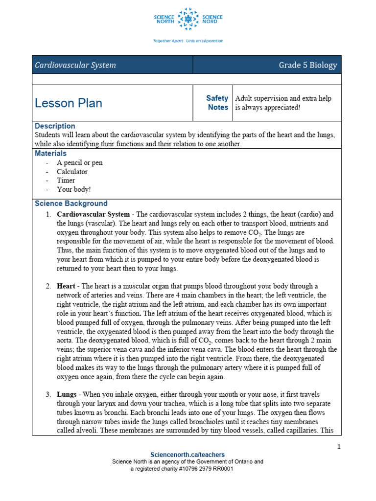 Grade 5 Cardiovascular System Lesson Plan | PDF | Heart Rate | Heart