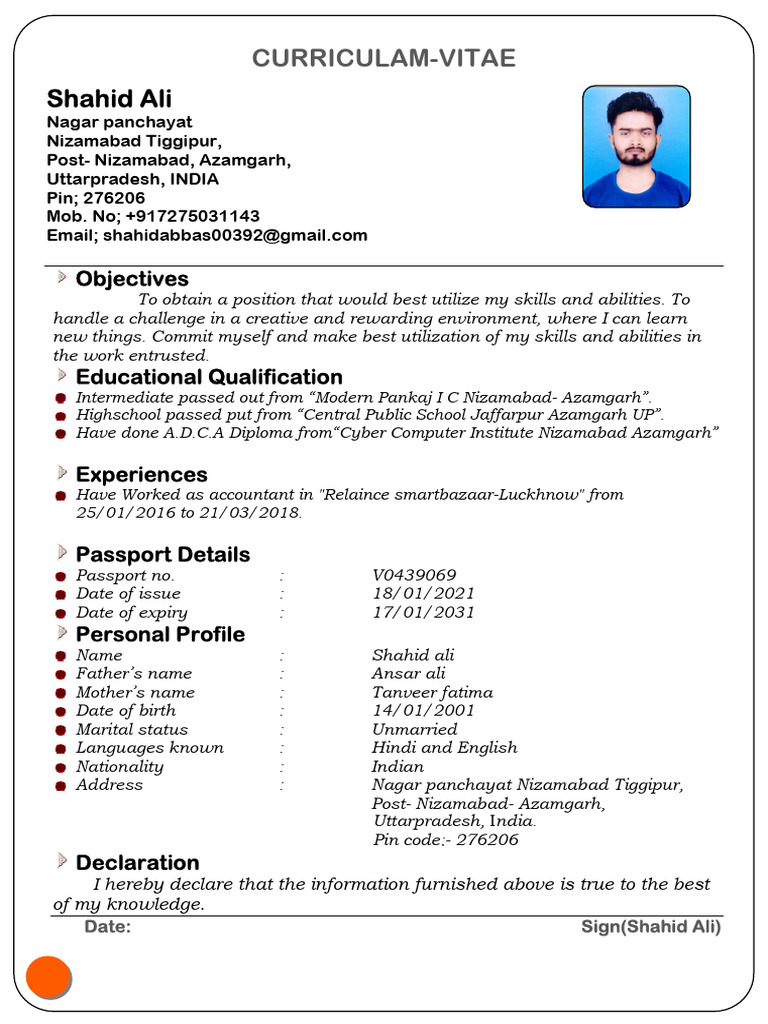Shahid Ali's Professional CV | PDF