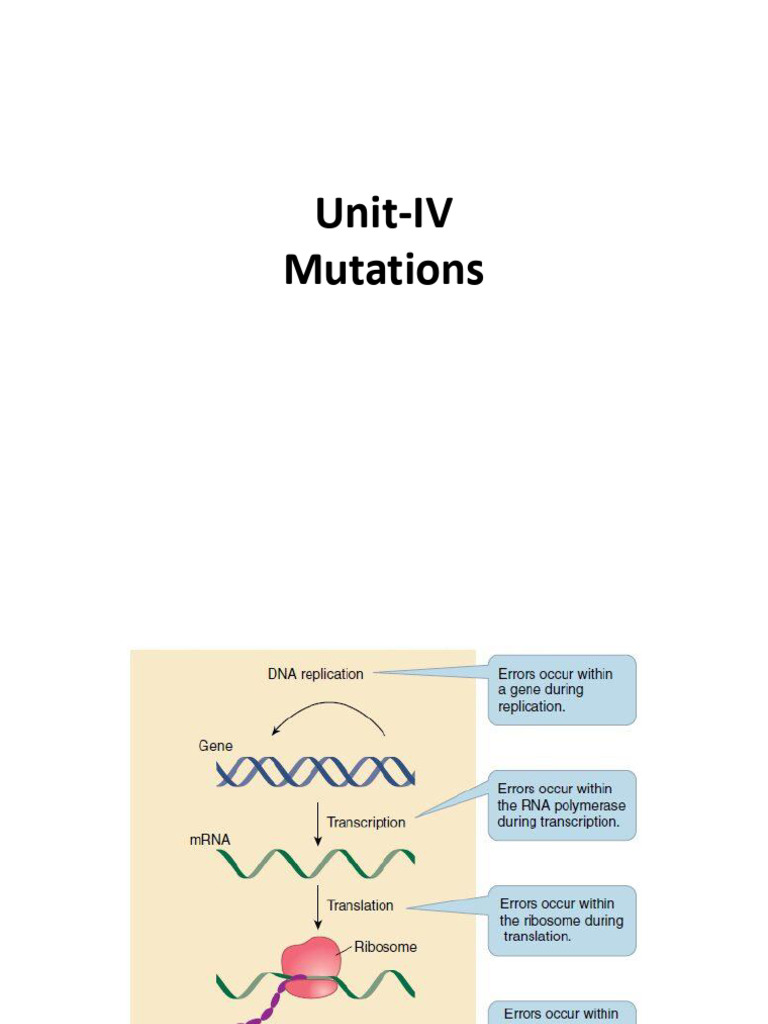 Mutations | PDF | Mutation | Point Mutation