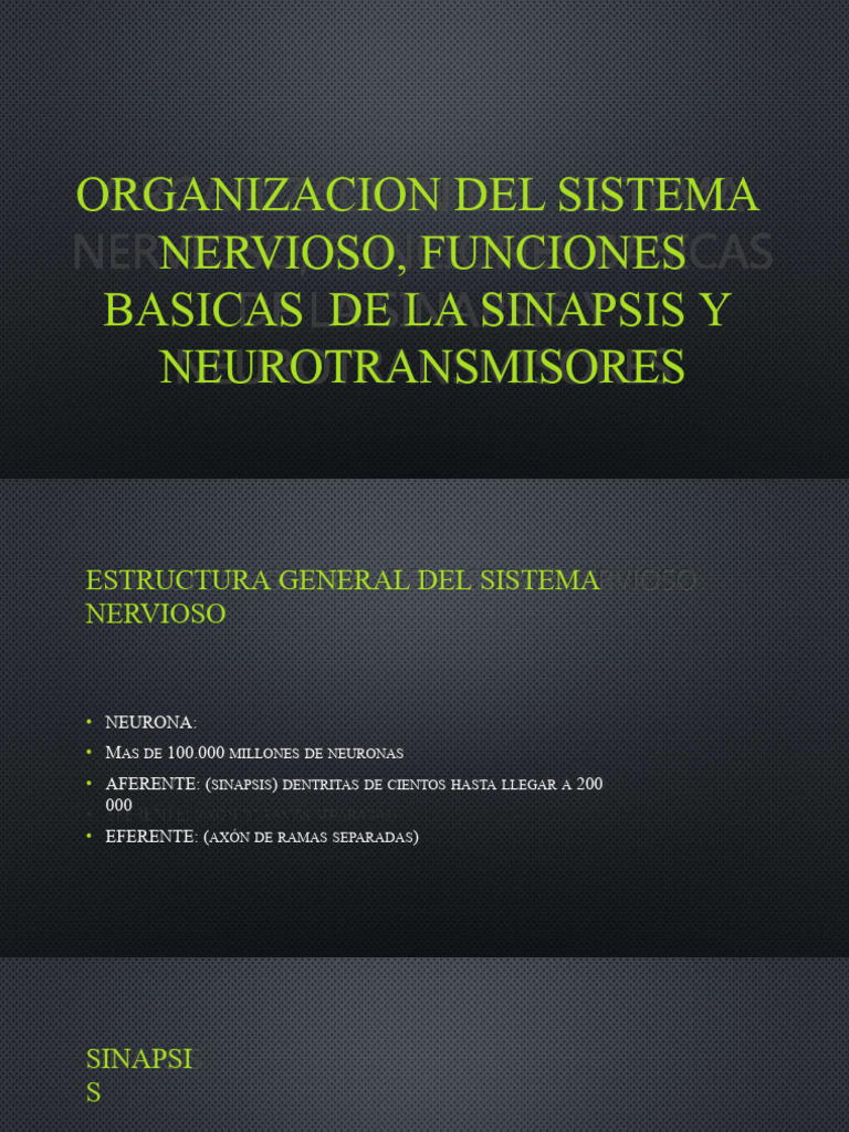 organizacion-del-sistema-nervioso-funciones-basicas-de-la-sinapsis-y-neurotransmisores | PDF ...