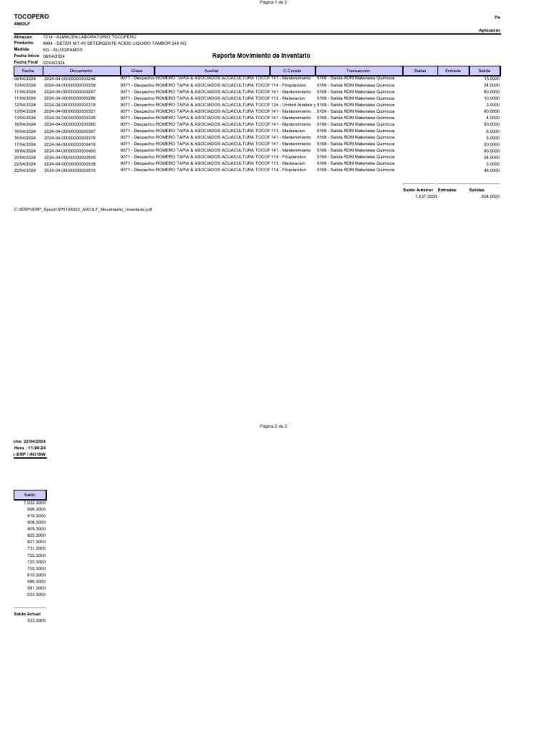 Reporte de Inventario DETER NIT-40 | PDF