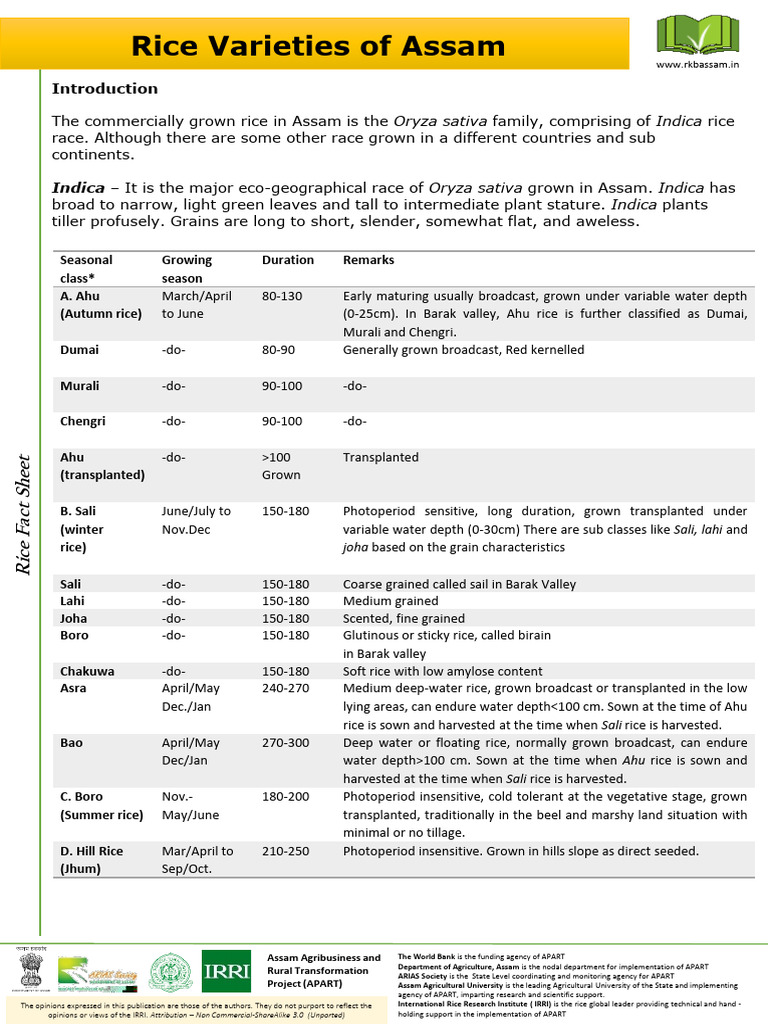 Rice Varieties of Assam | PDF | Rice | Plants