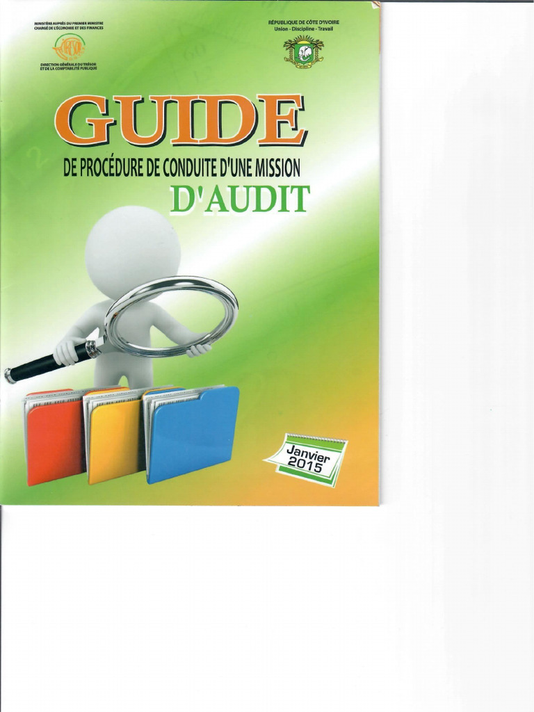 Guide Mission Audit | PDF