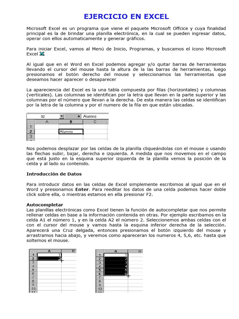 EJERCICIO EN EXCEL-basico | PDF | Microsoft Excel | Hoja de cálculo