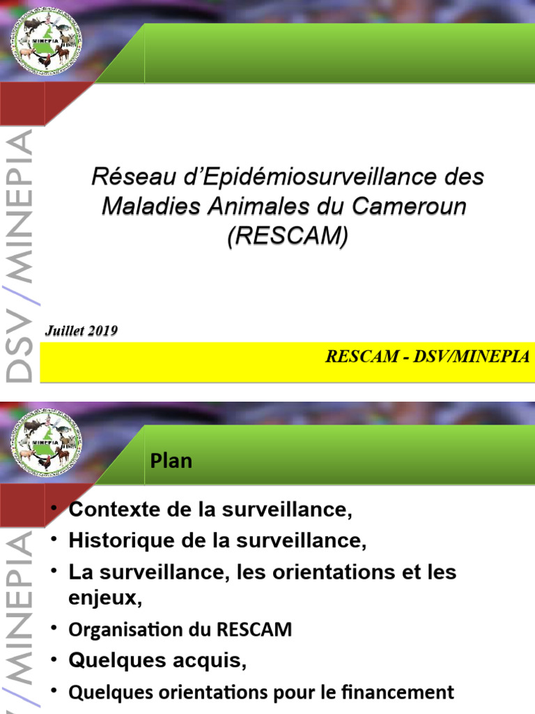 Minepia Surveillance - RESCAM MINEPIA - Juillet 2019 | PDF ...