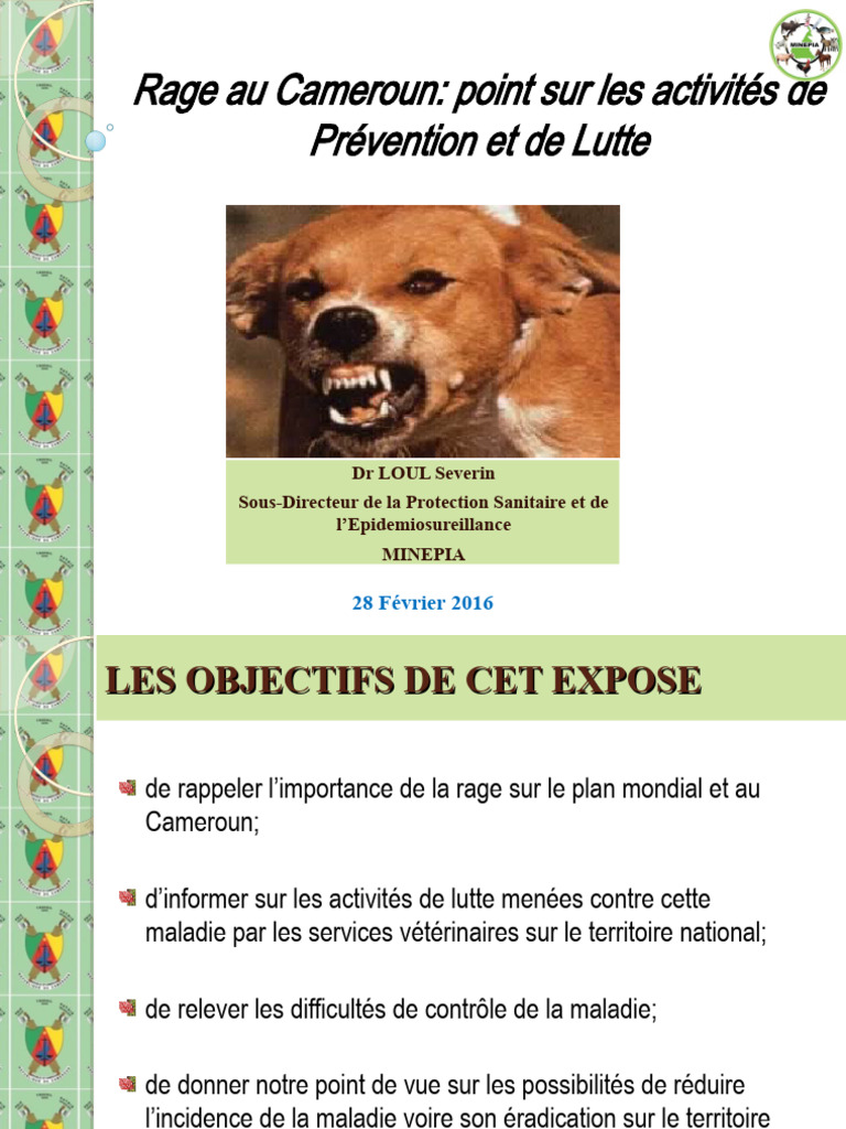 Rabies Presentation | PDF | Rage (maladie) | Vaccination